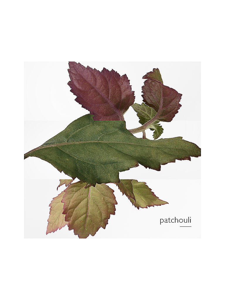 HERMÈS Twilly d’Hermès Eau Poivrée Eau de Parfum 85ml transparent