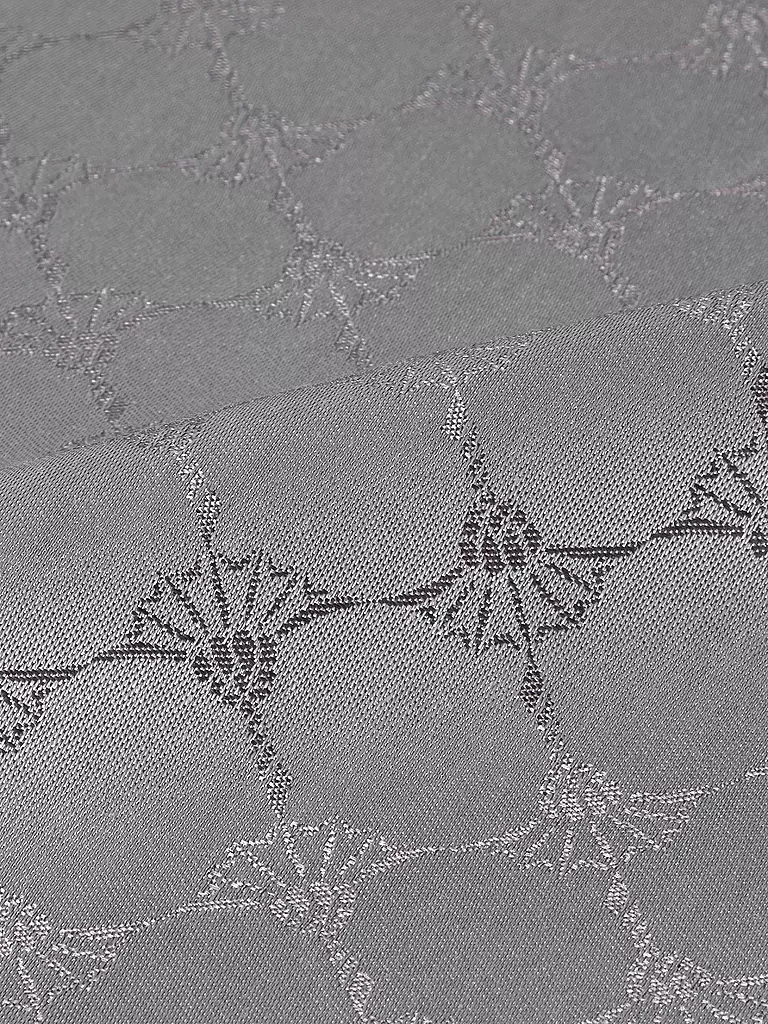 JOOP Platzset 2er Cornflower 36x48cm Platin grau