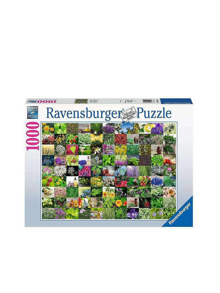 RAVENSBURGER Puzzle - 99 Kräuter und Gewürze - 1000 Teile keine Farbe