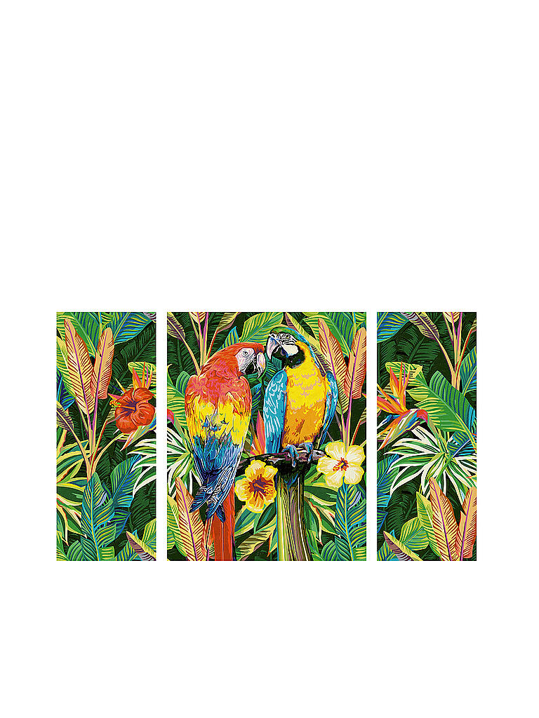 SCHIPPER Malen nach Zahlen - Papageien im Regenwald keine Farbe