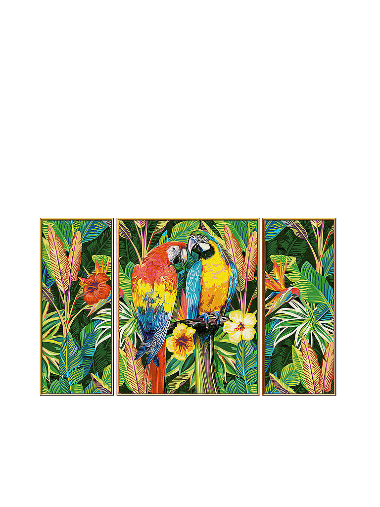 SCHIPPER Malen nach Zahlen - Papageien im Regenwald keine Farbe