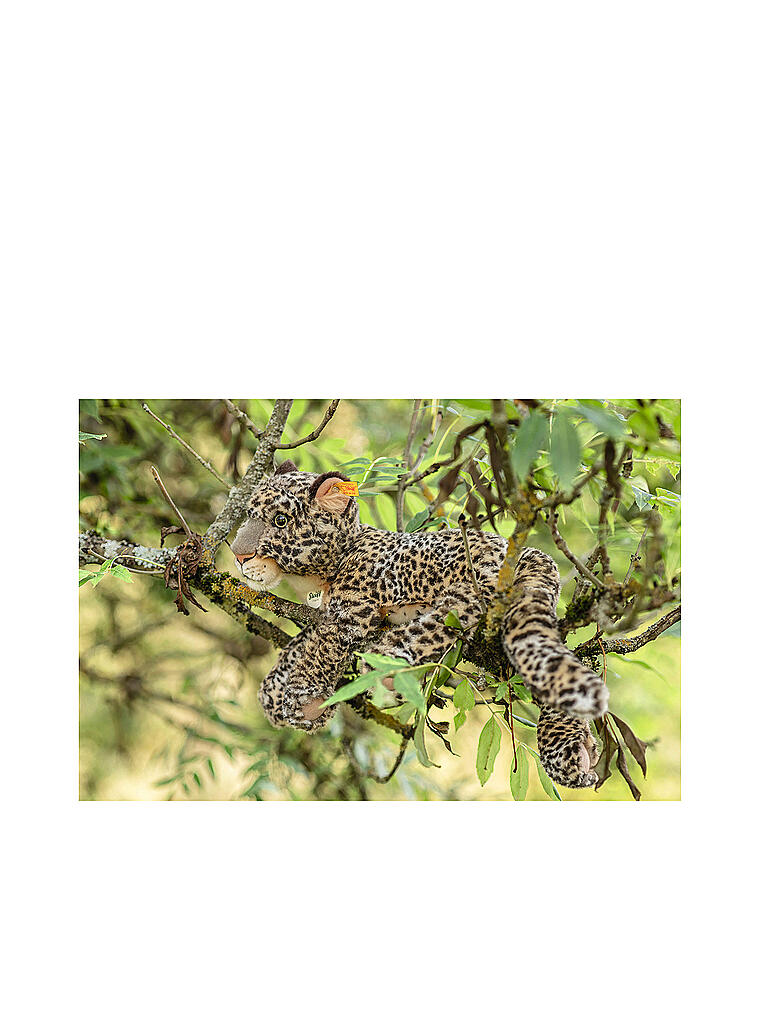 STEIFF Parddy Leopard 36cm beige